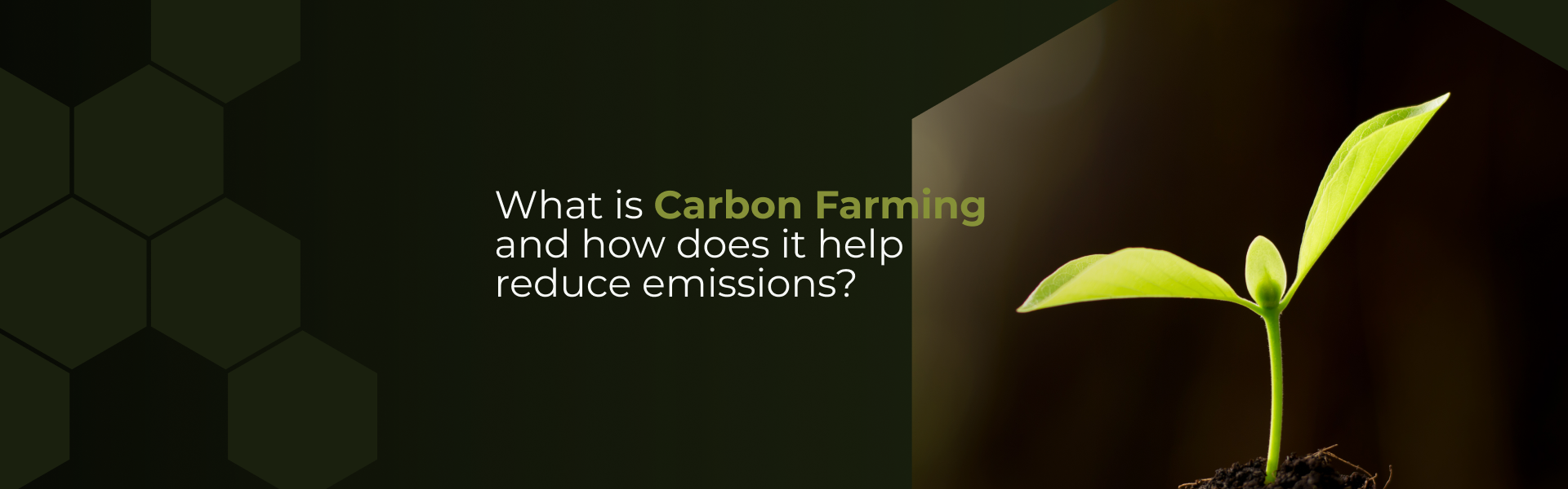 What is Carbon Farming & How Does It Help Reduce Emissions? - CarbonTerra